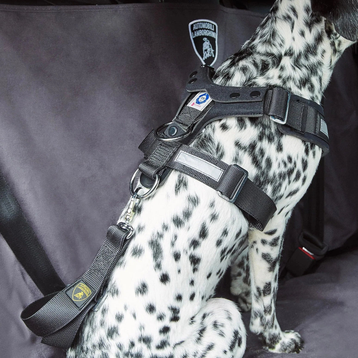Lamborghini Dog Belt – Newport Beach Automotive Group Boutique